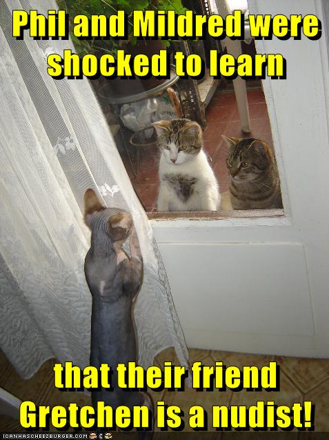 Phil and Mildred were shocked to learn that their friend Gretchen is a ...