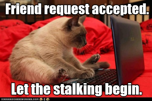 You know it's true. - Lolcats - lol | cat memes | funny cats | funny ...