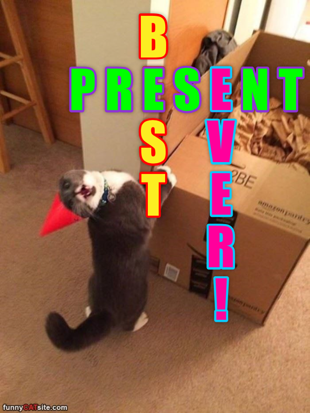 Lolcats - present - LOL at Funny Cat Memes - Funny cat pictures with ...