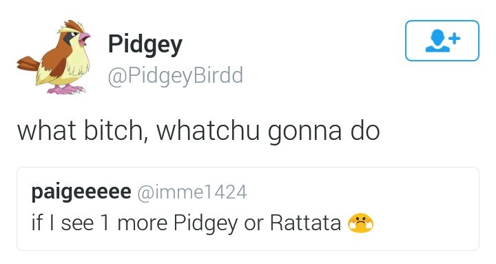 Pidgey Doesn't Joke - Memebase - Funny Memes