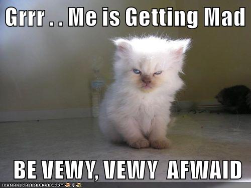 Lolcats - afraid - LOL at Funny Cat Memes - Funny cat pictures with ...