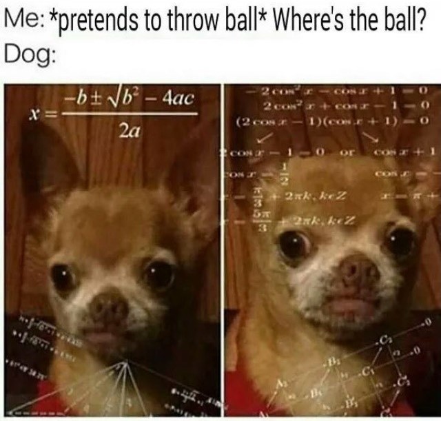 What Did You Do With It? - Memebase - Funny Memes