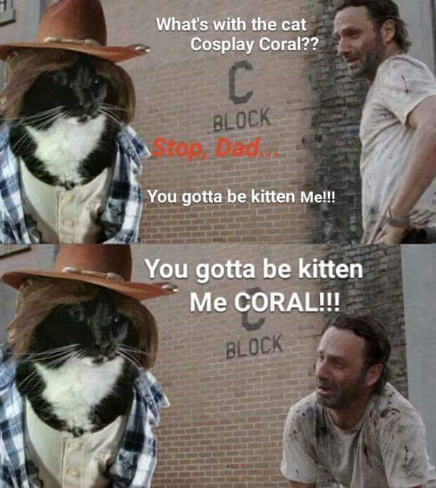 Cat Carl > Human Carl - The Walking Dead - The Walking Dead Meme | TWD ...