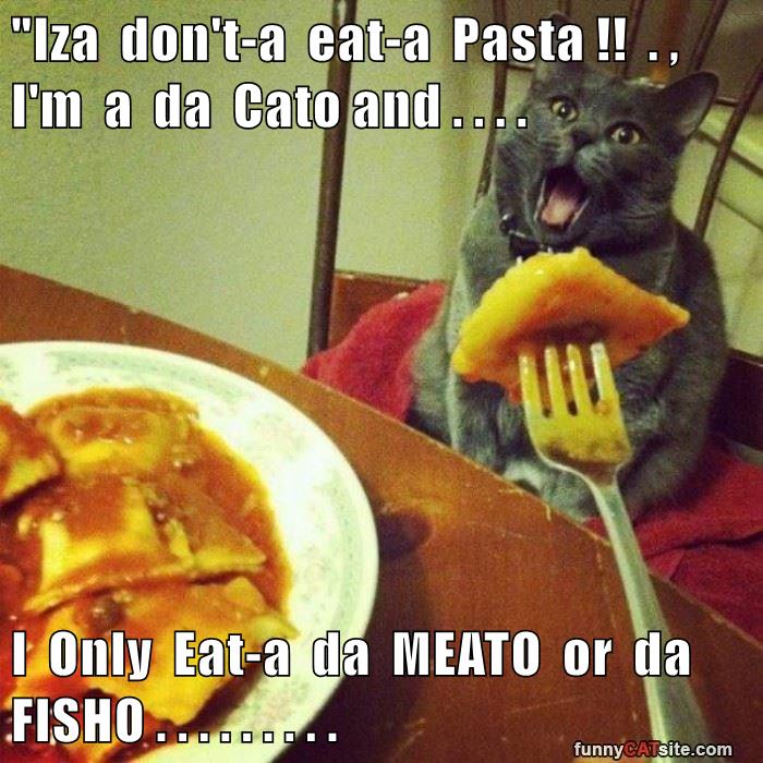 "Iza don't-a eat-a Pasta !! . , I'm a da Cato and . . . . I Only Eat-a ...