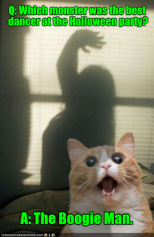 See that girl, Watch her scream, Eating the Dancing Queen - Lolcats ...