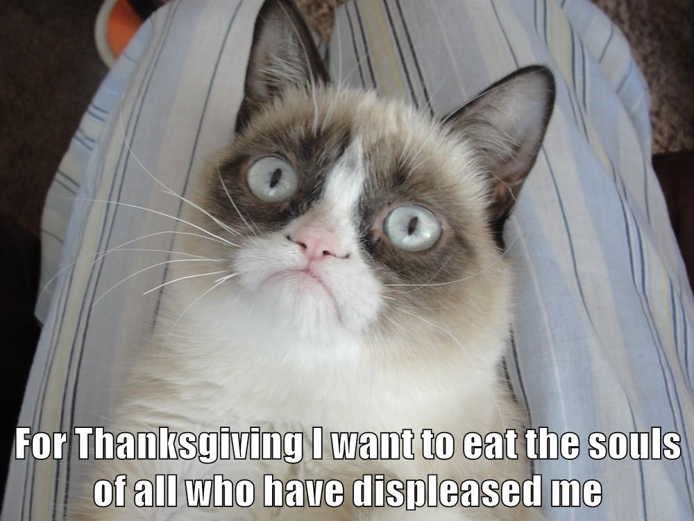 Lolcats - thanksgiving - LOL at Funny Cat Memes - Funny cat pictures ...