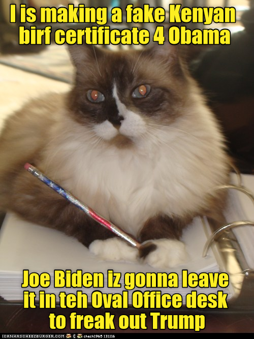 Lolcats - fake - LOL at Funny Cat Memes - Funny cat pictures with words ...