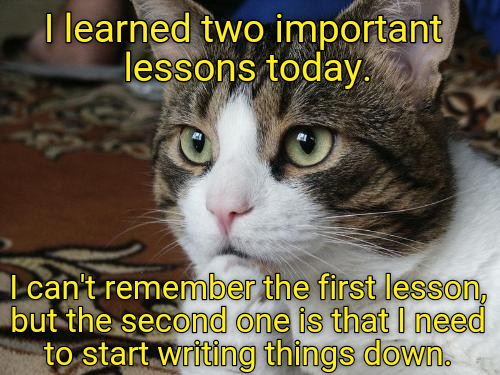 Forgetful - Lolcats - lol | cat memes | funny cats | funny cat pictures ...