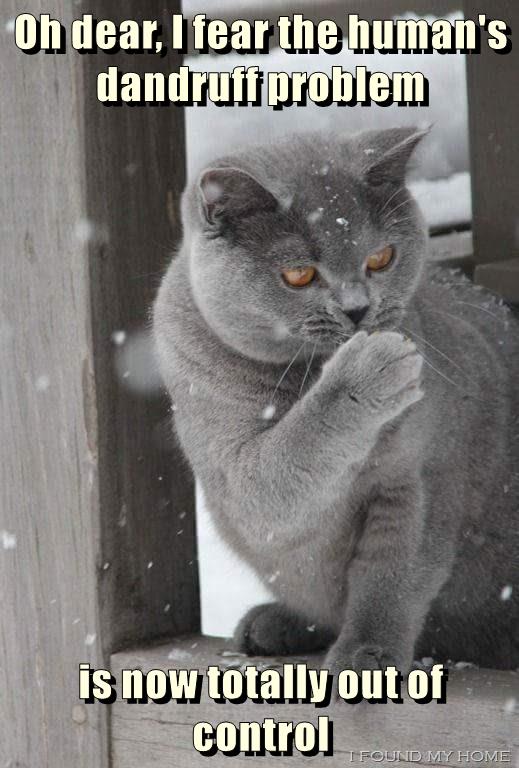 This Charming Winter Photo Was Actually Taken In The Middle Of Summer ...