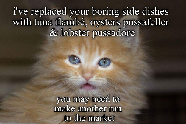 Lolcats - boring - LOL at Funny Cat Memes - Funny cat pictures with ...