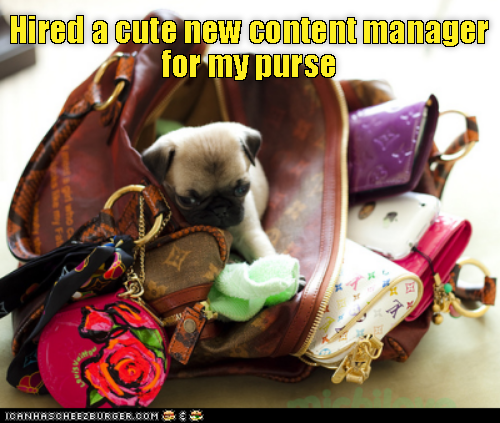 The new employee - I Has A Hotdog - Dog Pictures - Funny pictures of ...