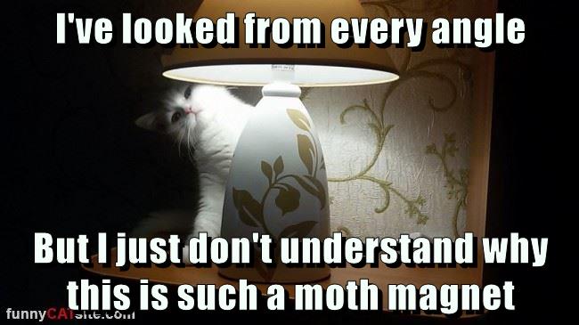 I've looked from every angle But I just don't understand why this is ...