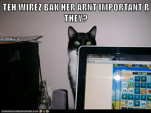 Aren't yew wireless? - Lolcats - lol | cat memes | funny cats | funny ...