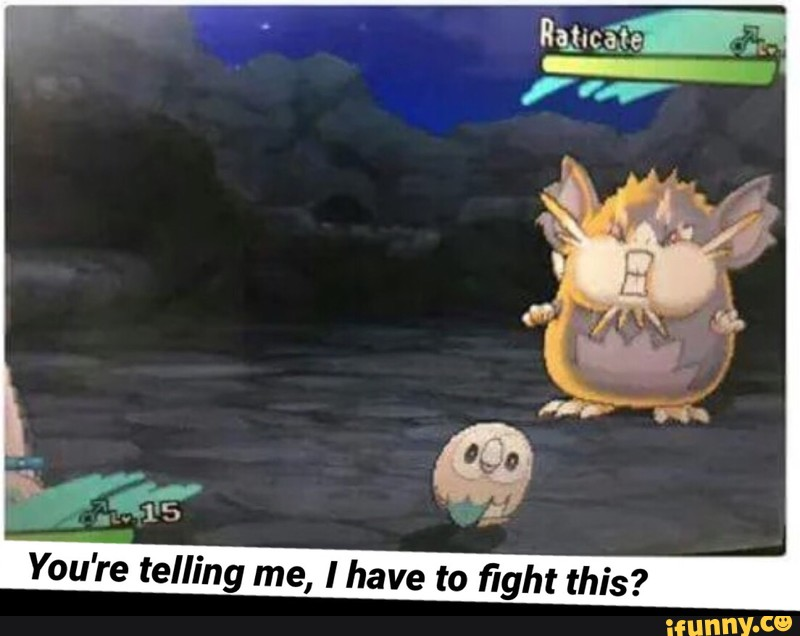 Pokémemes - rowlet - Pokemon Memes - Pokémon, Pokémon GO - Cheezburger