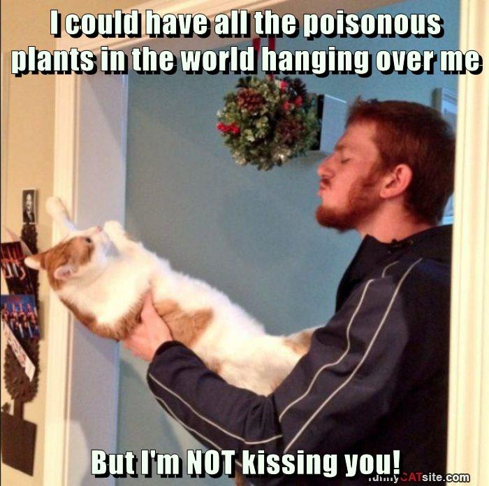 I could have all the poisonous plants in the world hanging over me But ...