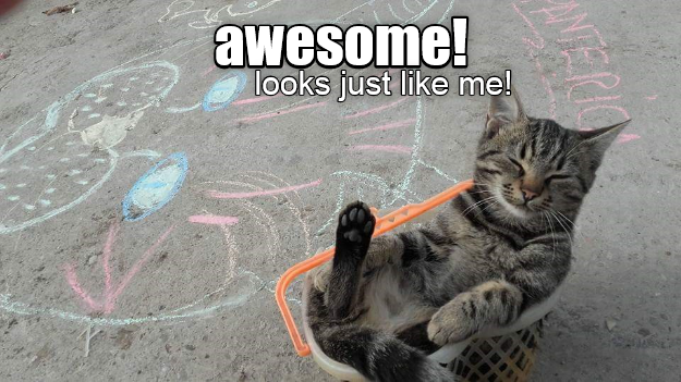 Artwork by anonymous artist - Lolcats - lol | cat memes | funny cats ...