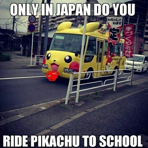 Pokémemes - pikachu - Pokemon Memes - Pokémon, Pokémon GO - Cheezburger