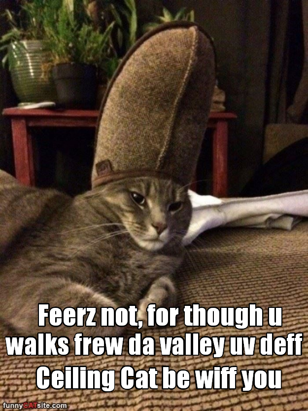 And Basement Cat be wiff me! - Lolcats - lol | cat memes | funny cats ...