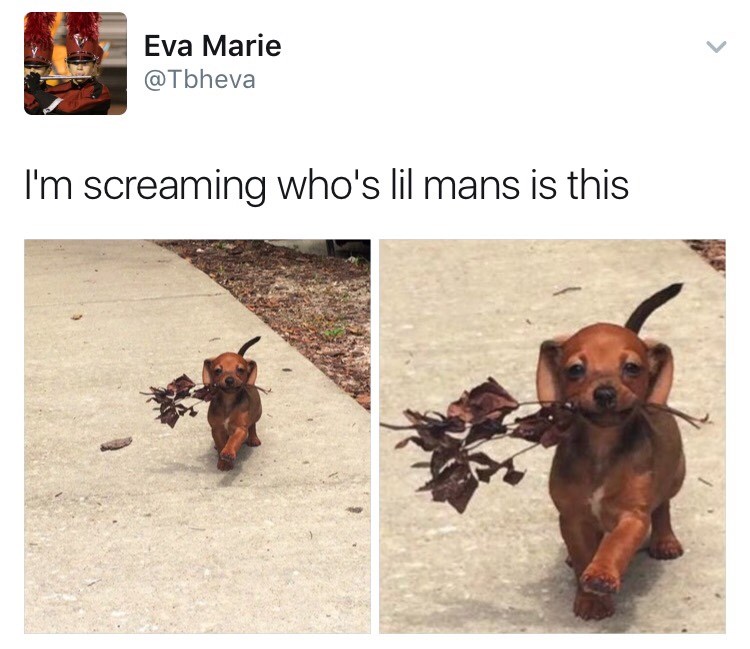 Your 'lil man' looks CGI af - Memebase - Funny Memes