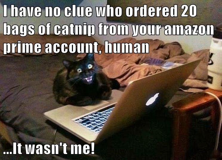 I have no clue who ordered 20 bags of catnip from your amazon prime ...