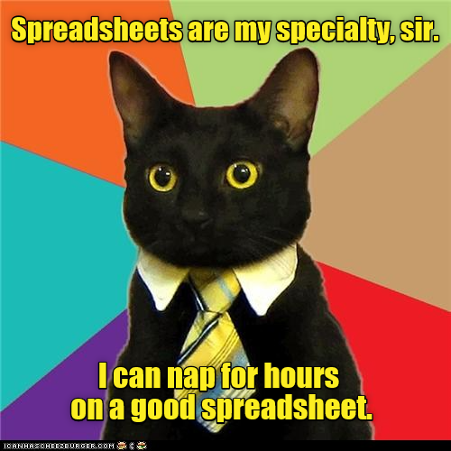 I Excel At Spreadsheets - Lolcats - lol | cat memes | funny cats ...