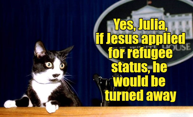 Christian Cat Memes