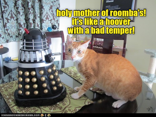 Better not make it angry - Lolcats - lol | cat memes | funny cats ...