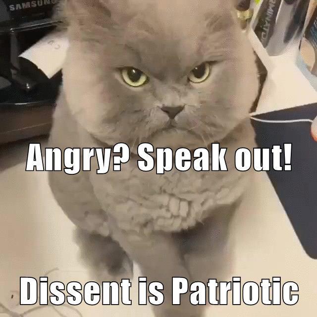 Lolcats - angry - LOL at Funny Cat Memes - Funny cat pictures with ...