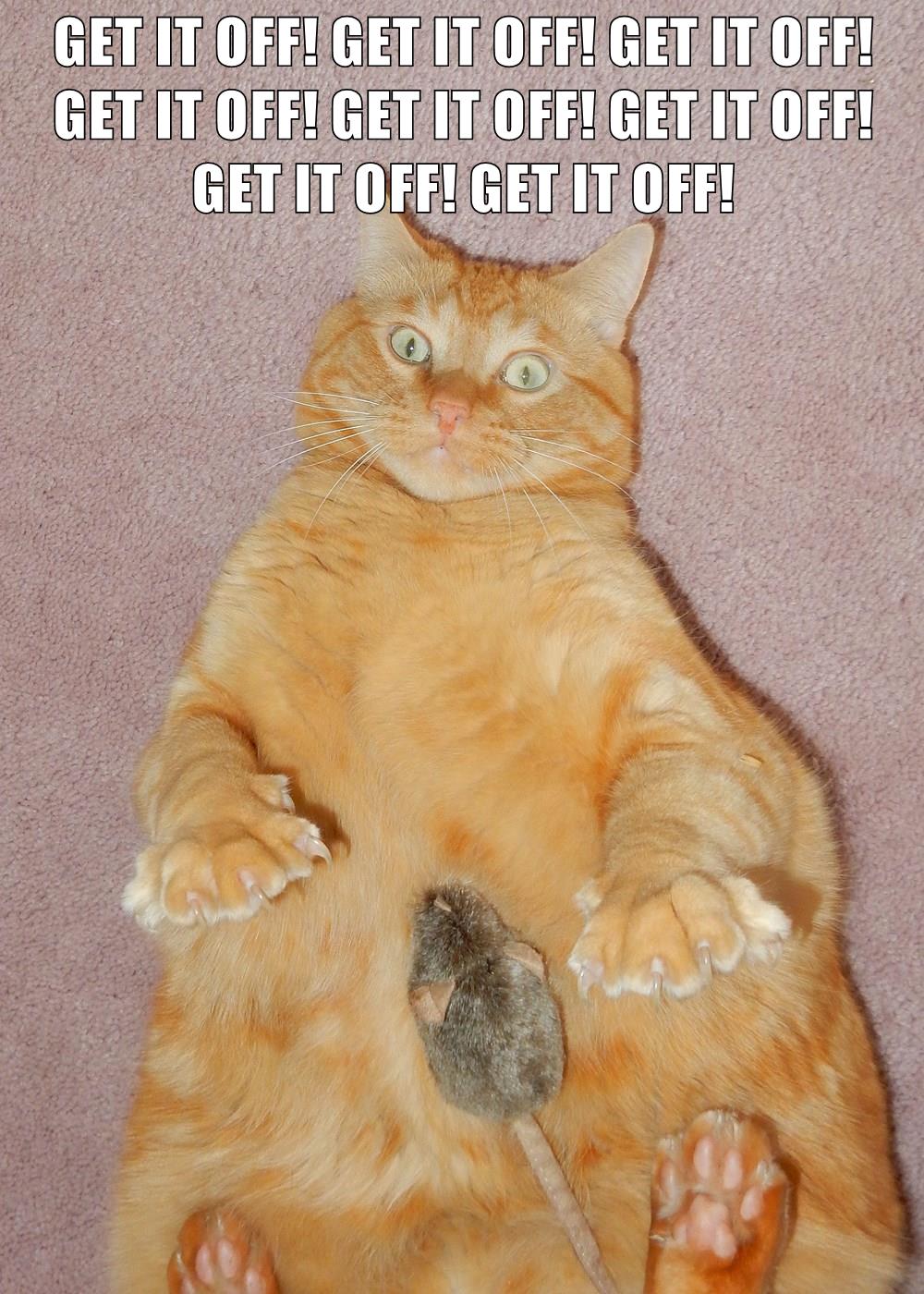 GET IT OFF! GET IT OFF! GET IT OFF! GET IT OFF! GET IT OFF! GET IT OFF ...