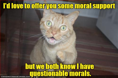 Lolcats - support - LOL at Funny Cat Memes - Funny cat pictures with ...