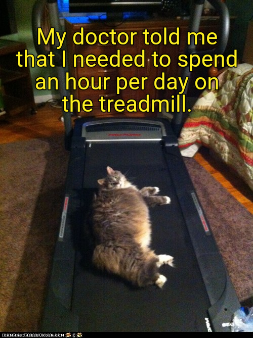 Lolcats - treadmill - LOL at Funny Cat Memes - Funny cat pictures with ...