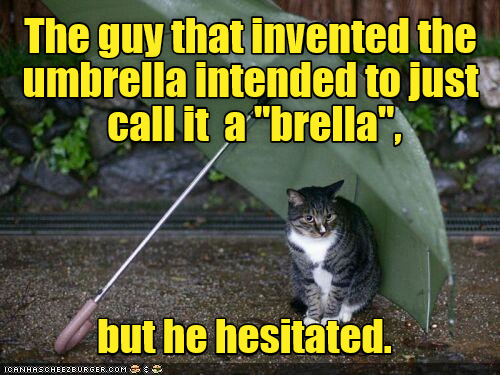 Lolcats - umbrella - LOL at Funny Cat Memes - Funny cat pictures with ...