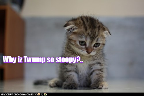 Kittie has a sad.. - Lolcats - lol | cat memes | funny cats | funny cat ...