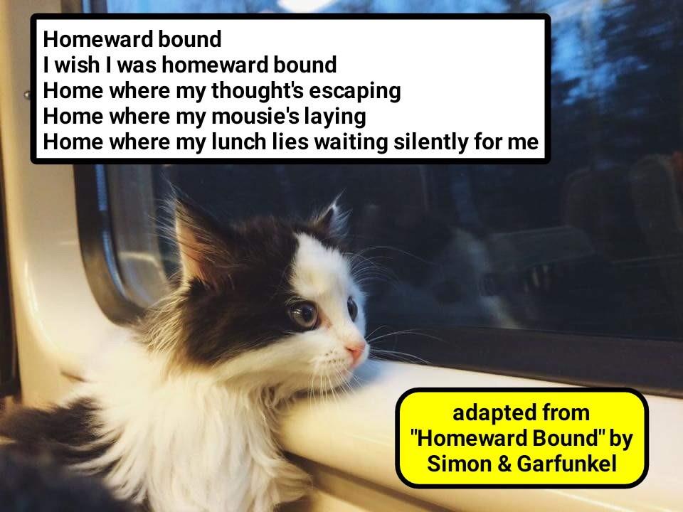 adapted from "Homeward Bound" by Simon & Garfunkel (recaption http ...