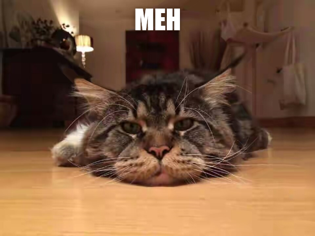 Meh. - I Can Has Cheezburger?
