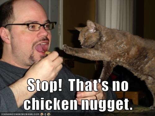 Careful man! - Lolcats - lol | cat memes | funny cats | funny cat ...