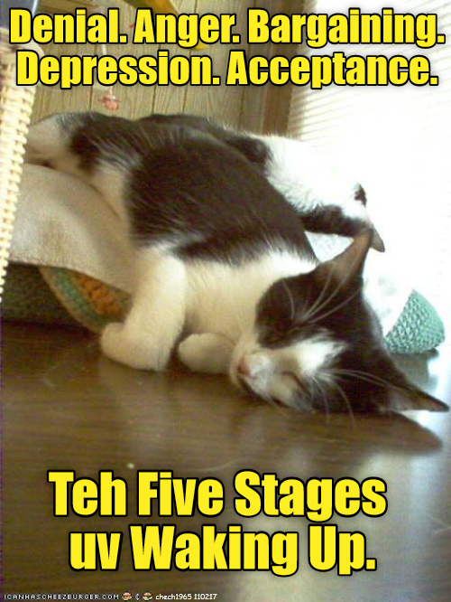 Depressieve Kat Meme Depressed Cat GIFs | Tenor
