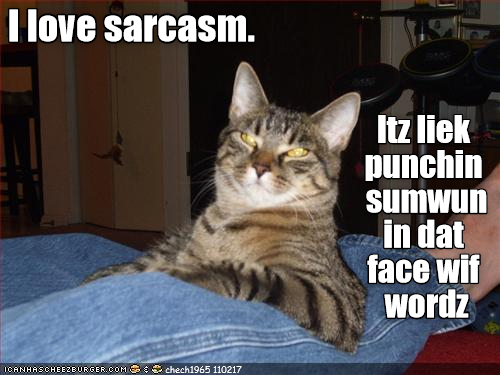 Lolcats - sarcasm - LOL at Funny Cat Memes - Funny cat pictures with ...