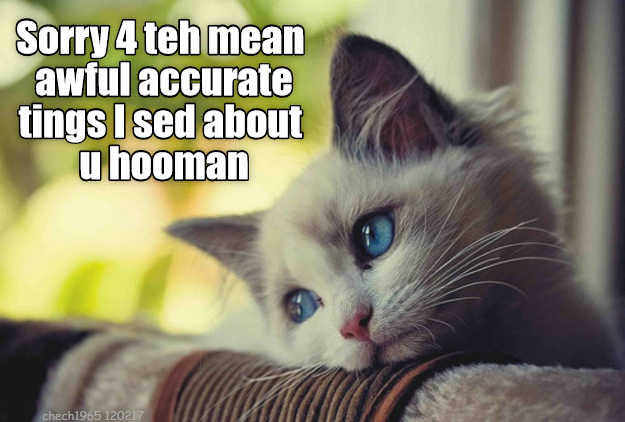 I Calls 'em Like I Sees 'em. - Lolcats - lol | cat memes | funny cats ...