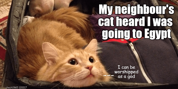 Lolcats - egypt - LOL at Funny Cat Memes - Funny cat pictures with ...