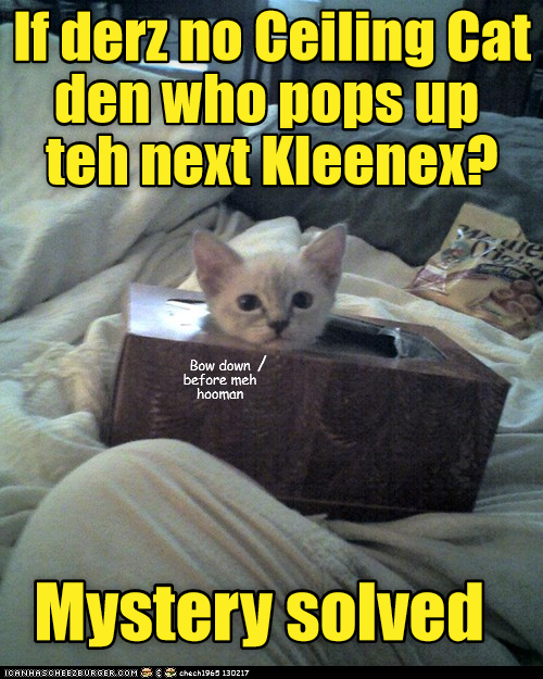 All hail, kitteh. - Lolcats - lol | cat memes | funny cats | funny cat ...