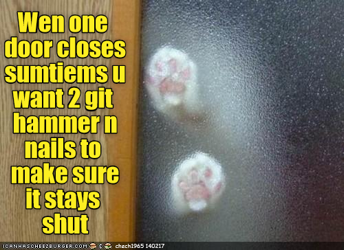 Dunt need thumbs 2 swing a hammer - Lolcats - lol | cat memes | funny ...