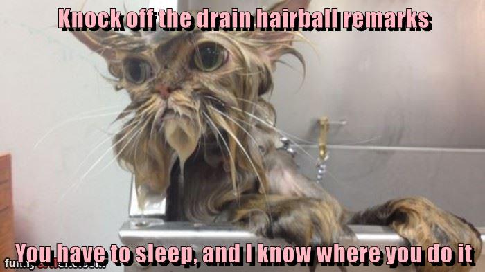 Knock off the drain hairball remarks - Lolcats - lol | cat memes ...