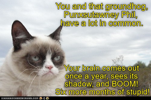 Boom! - Lolcats - lol | cat memes | funny cats | funny cat pictures ...