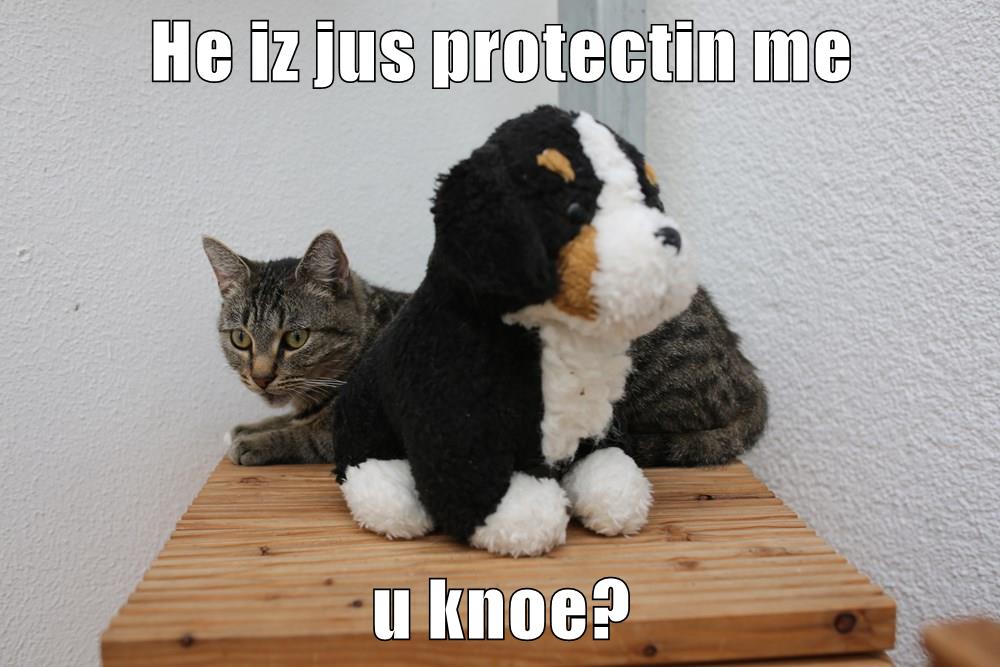 He iz jus protectin me u knoe? - Lolcats - lol | cat memes | funny cats ...
