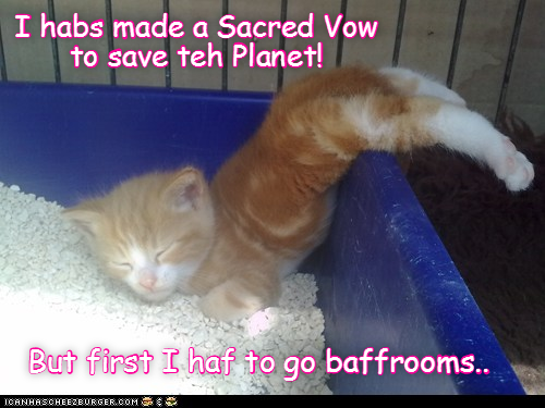 Global Warming Kittie is on a Sacred Mission! - Lolcats - lol | cat ...