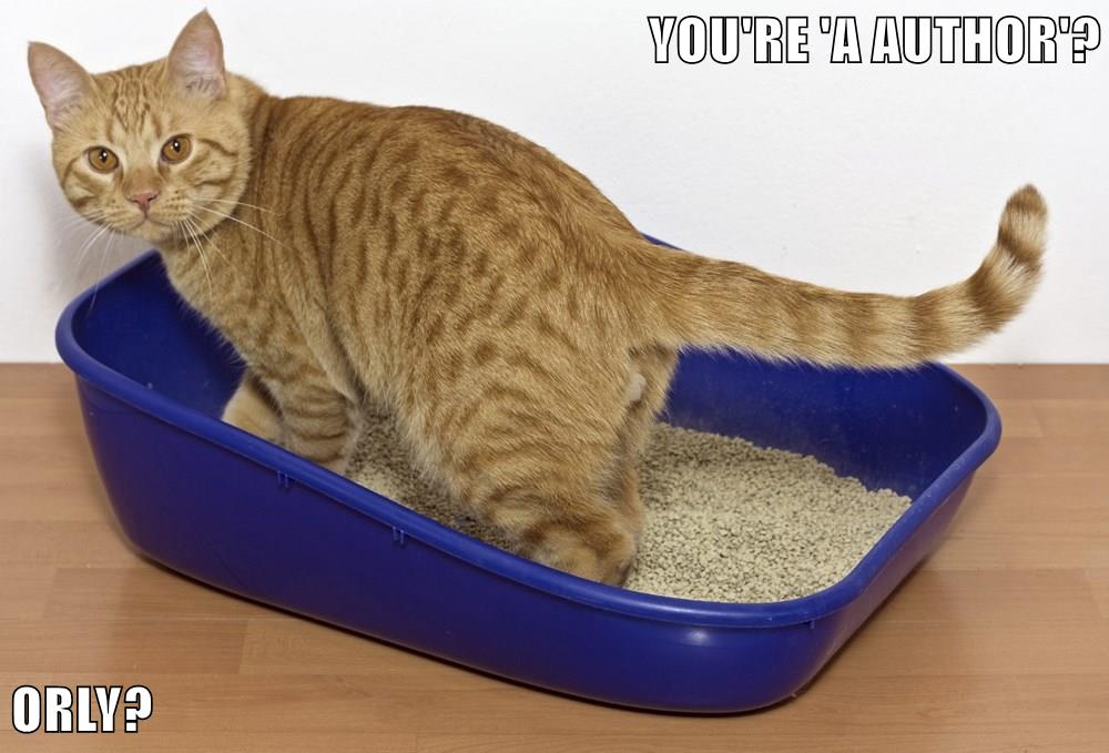 YOU'RE 'A AUTHOR'? ORLY? - Lolcats - lol | cat memes | funny cats ...