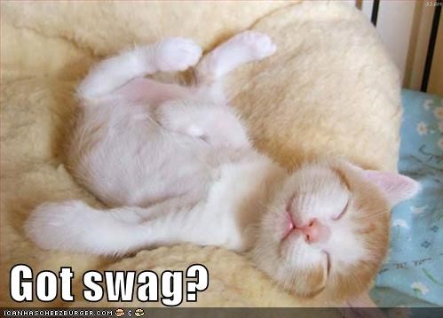 Lolcats - swag - LOL at Funny Cat Memes - Funny cat pictures with words ...