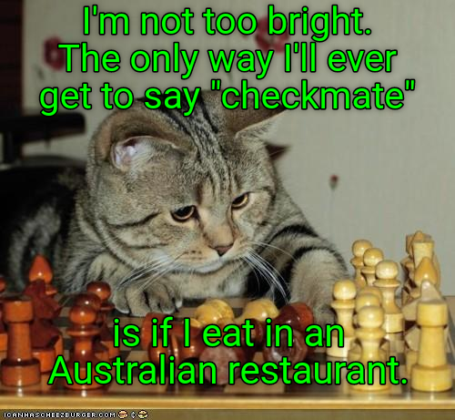 Lolcats - restaurant - LOL at Funny Cat Memes - Funny cat pictures with ...