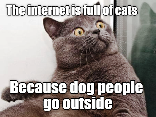 MFW I realize... - Lolcats - lol | cat memes | funny cats | funny cat ...